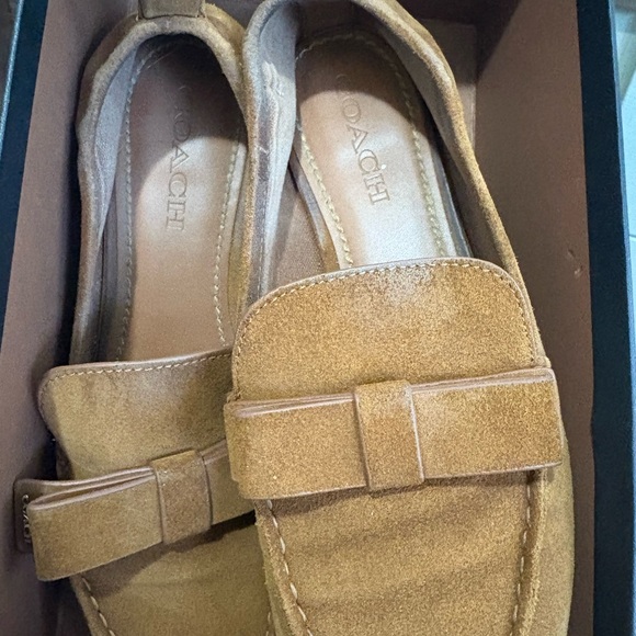 Coach | Shoes | Coach Henry Bow Suede Loafer | Poshmark
